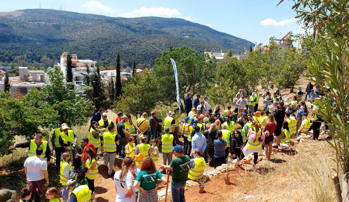 Η "χαρούμενη" δενδροφύτευση άφησε ένα θλιβερό τοπίο